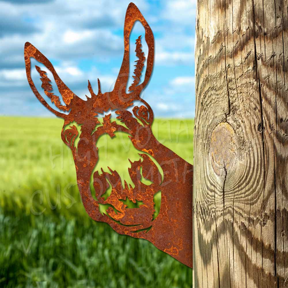 Peek A Boo Donkey | NZ MADE Steel Art – High Voltage Custom Metal Art